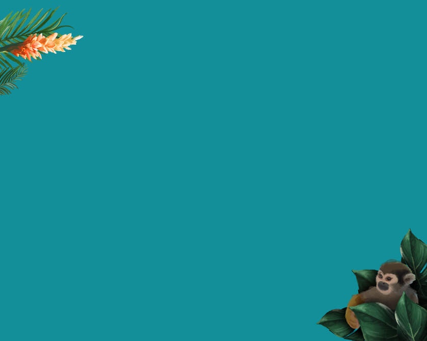 CYBEX x DJ Khaled Collection - Strollers, Car Seats and Accessories